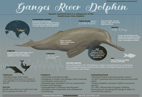 Ganges River Dolphin Habitat